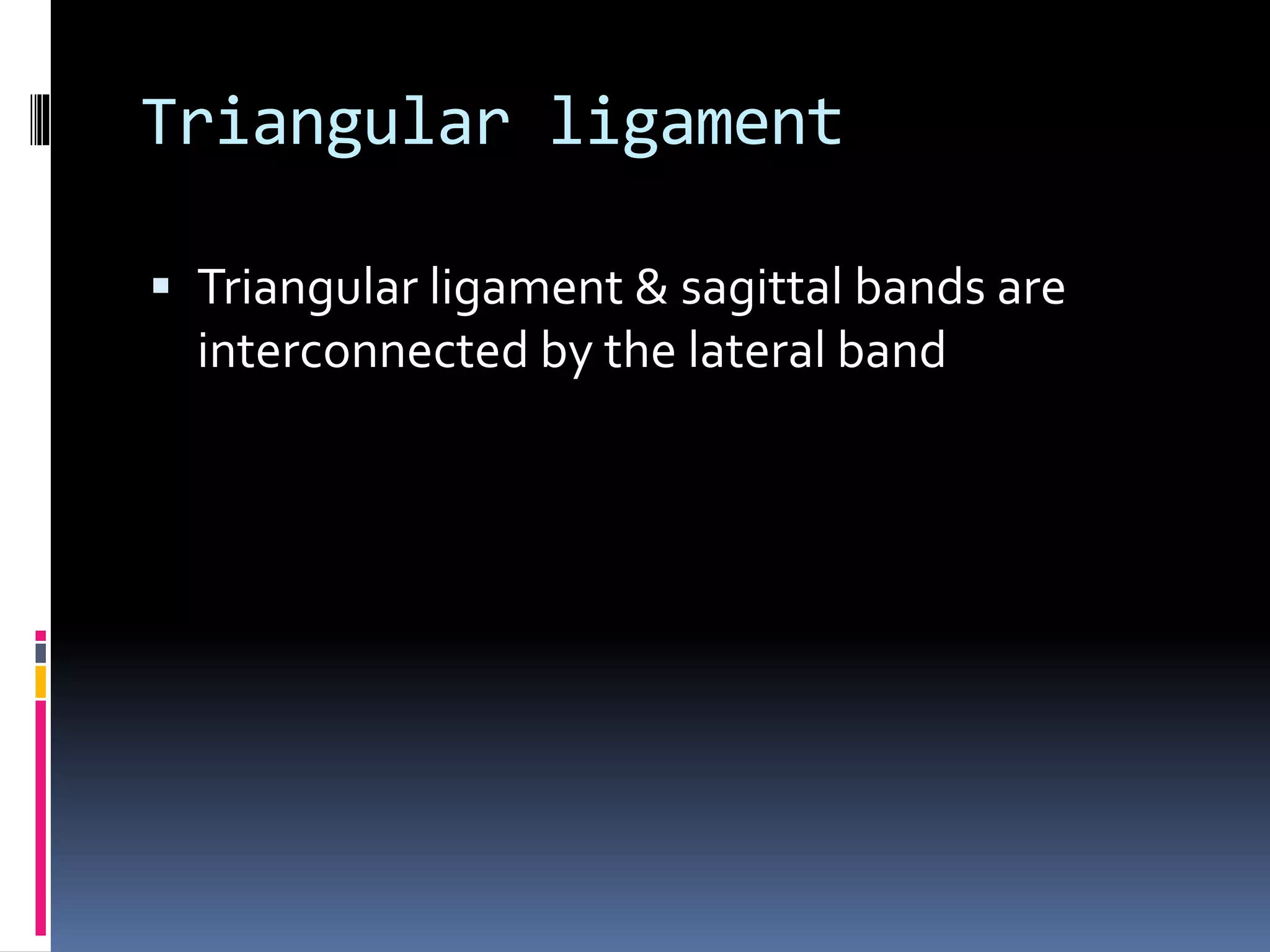 Extensor mechanism of finger | PPTX