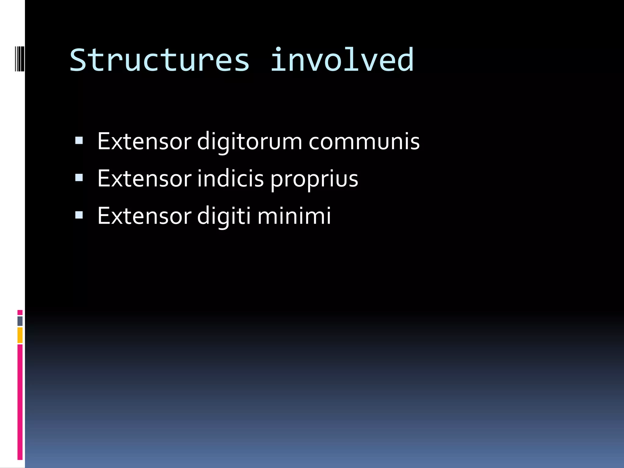 Extensor mechanism of finger | PPTX