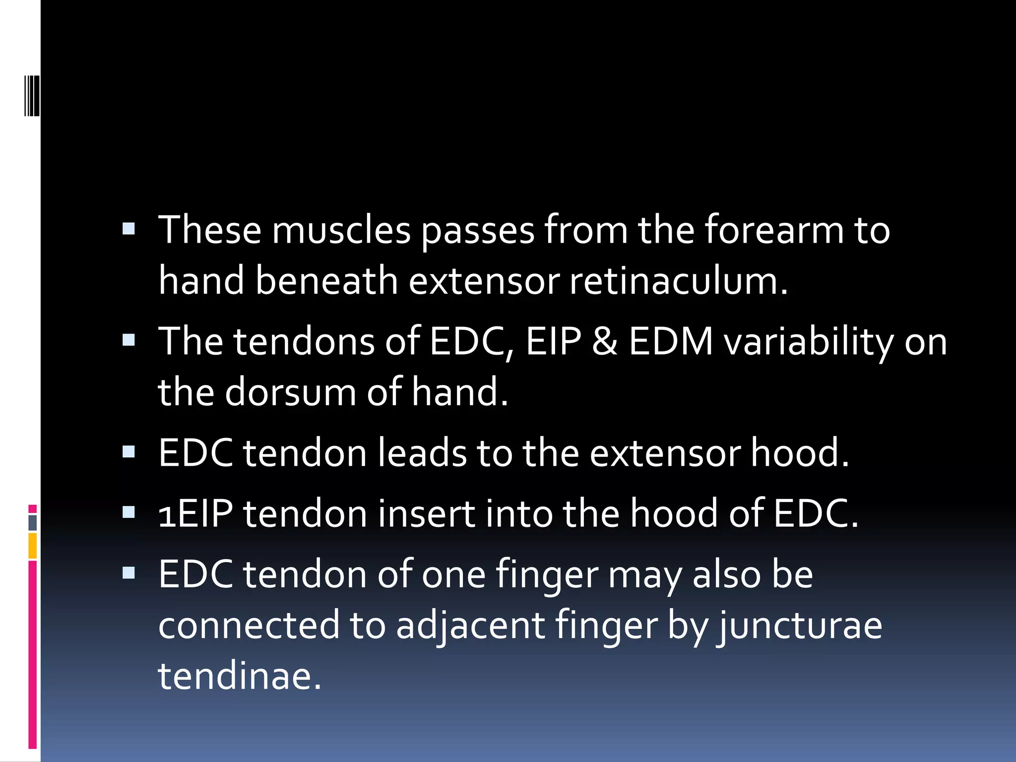 Extensor mechanism of finger | PPTX
