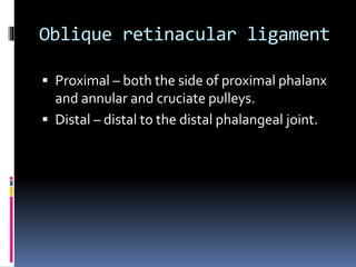 Extensor mechanism of finger | PPTX