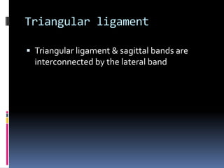 Extensor mechanism of finger | PPTX