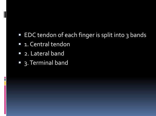 Extensor mechanism of finger | PPTX