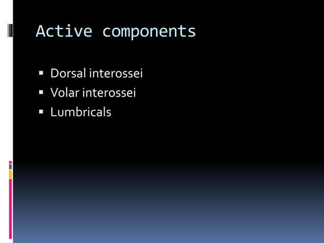 Extensor mechanism of finger | PPTX
