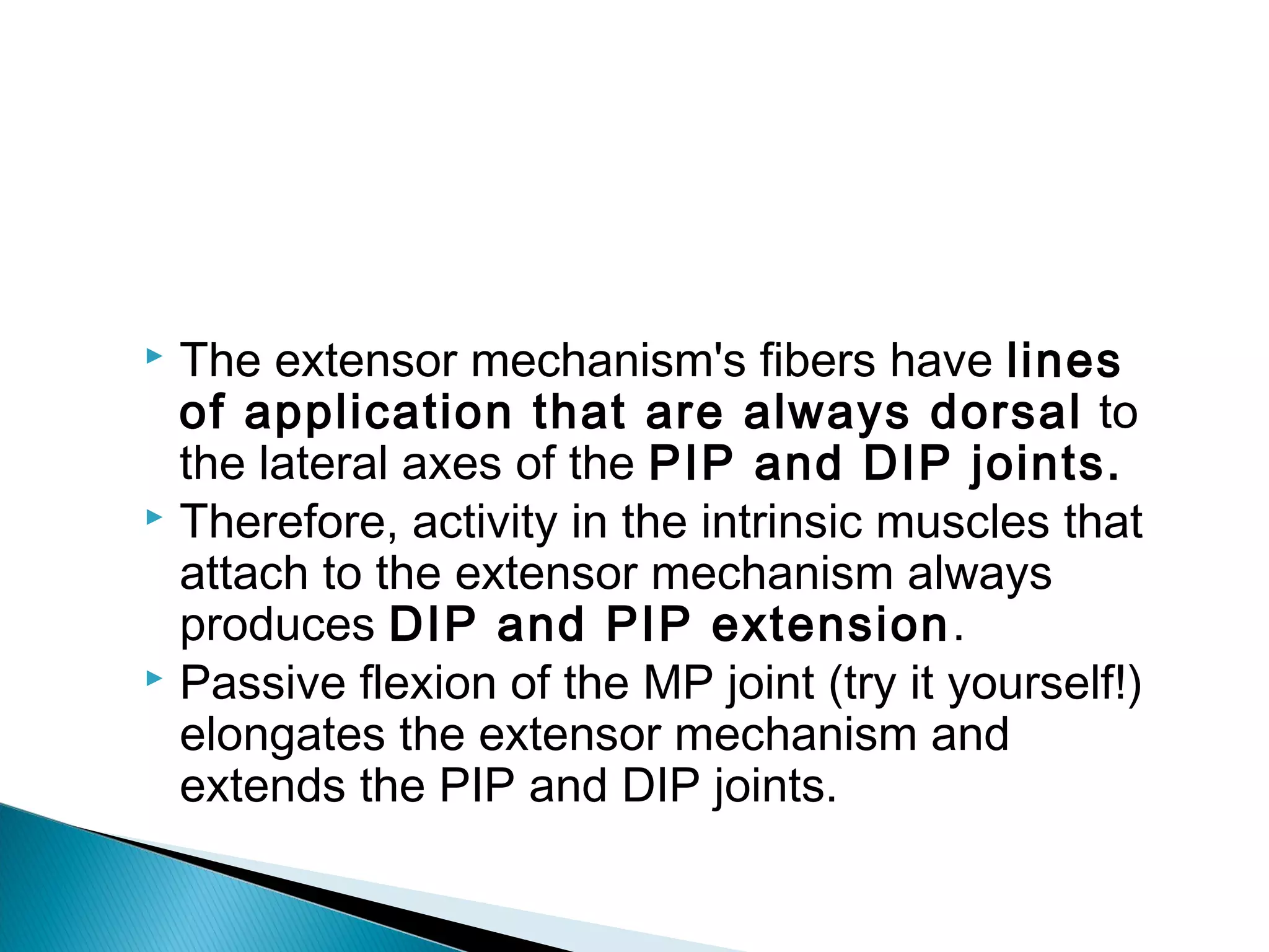 Extensor Mechanism.pdf