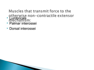 Extensor Mechanism.pdf