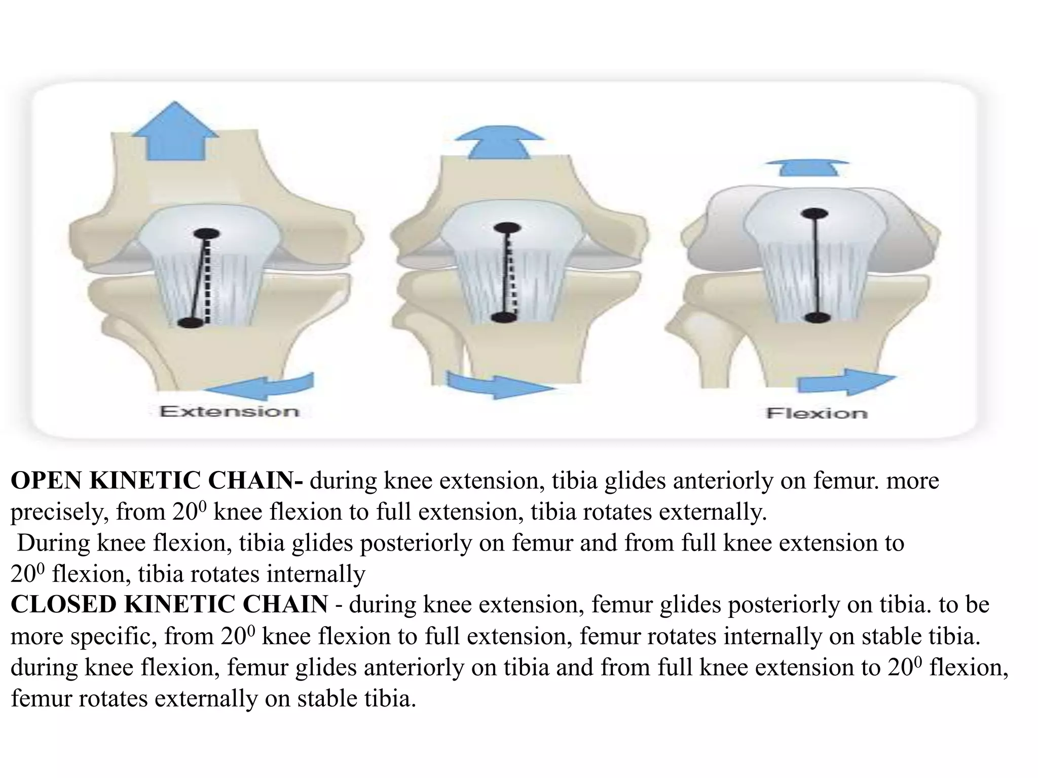 Extensor mechanism of knee | PPTX