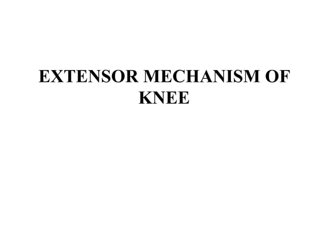 Extensor mechanism of knee | PPTX