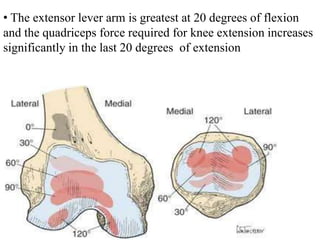 Extensor mechanism of knee | PPTX
