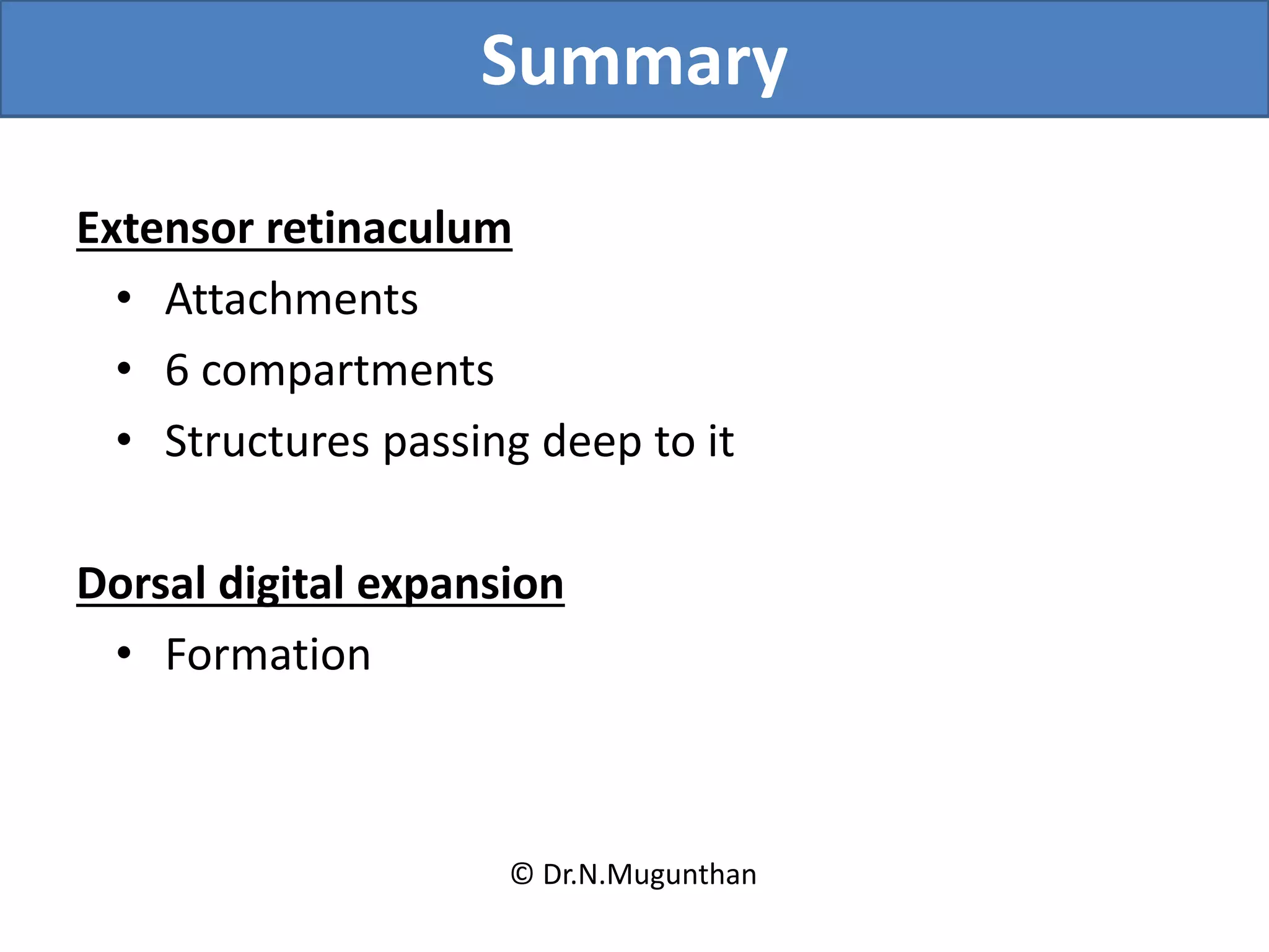 Extensor retinaculum & dorsal digital expansion Dr.N.Mugunthan | PDF