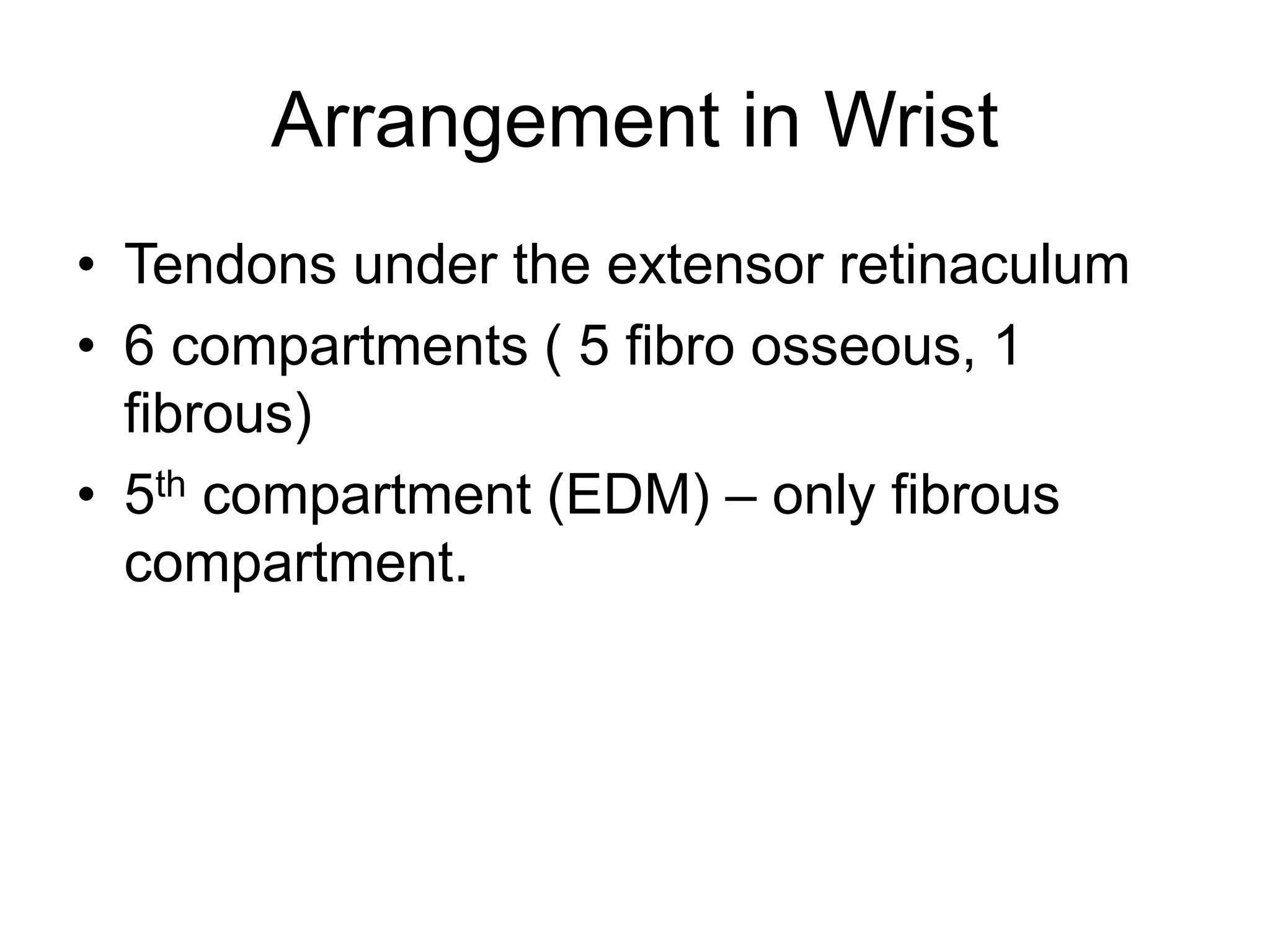 Extensor tendon injuries hand | PPTX