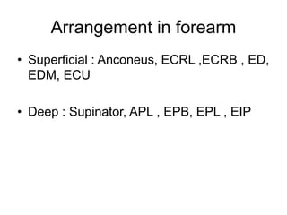 Extensor tendon injuries hand | PPTX