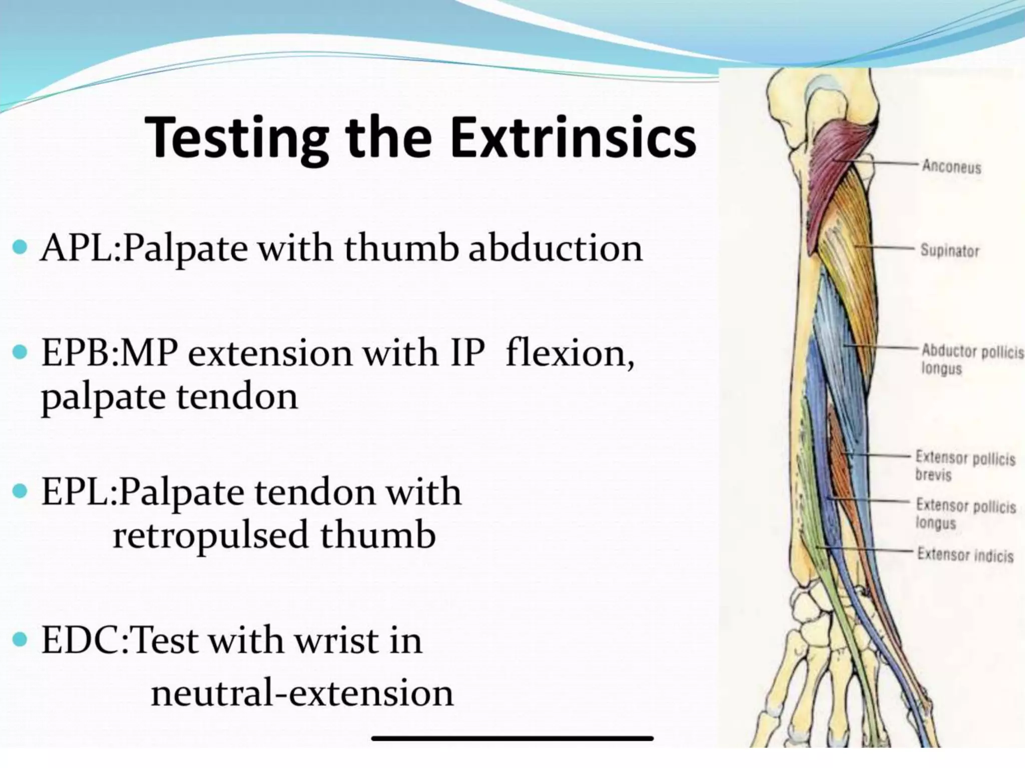 Extensor tendon injuries | PPTX