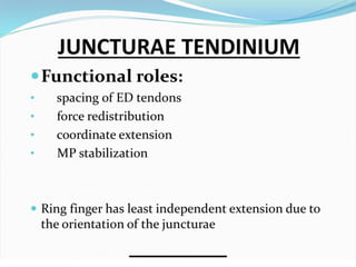 Extensor tendon injuries | PPTX