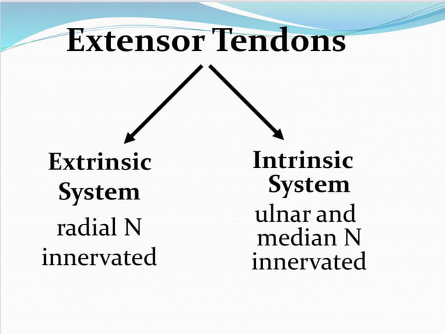 Extensor tendon injuries | PPT