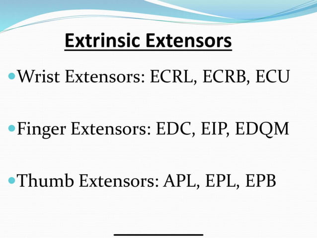 Extensor tendon injuries | PPT