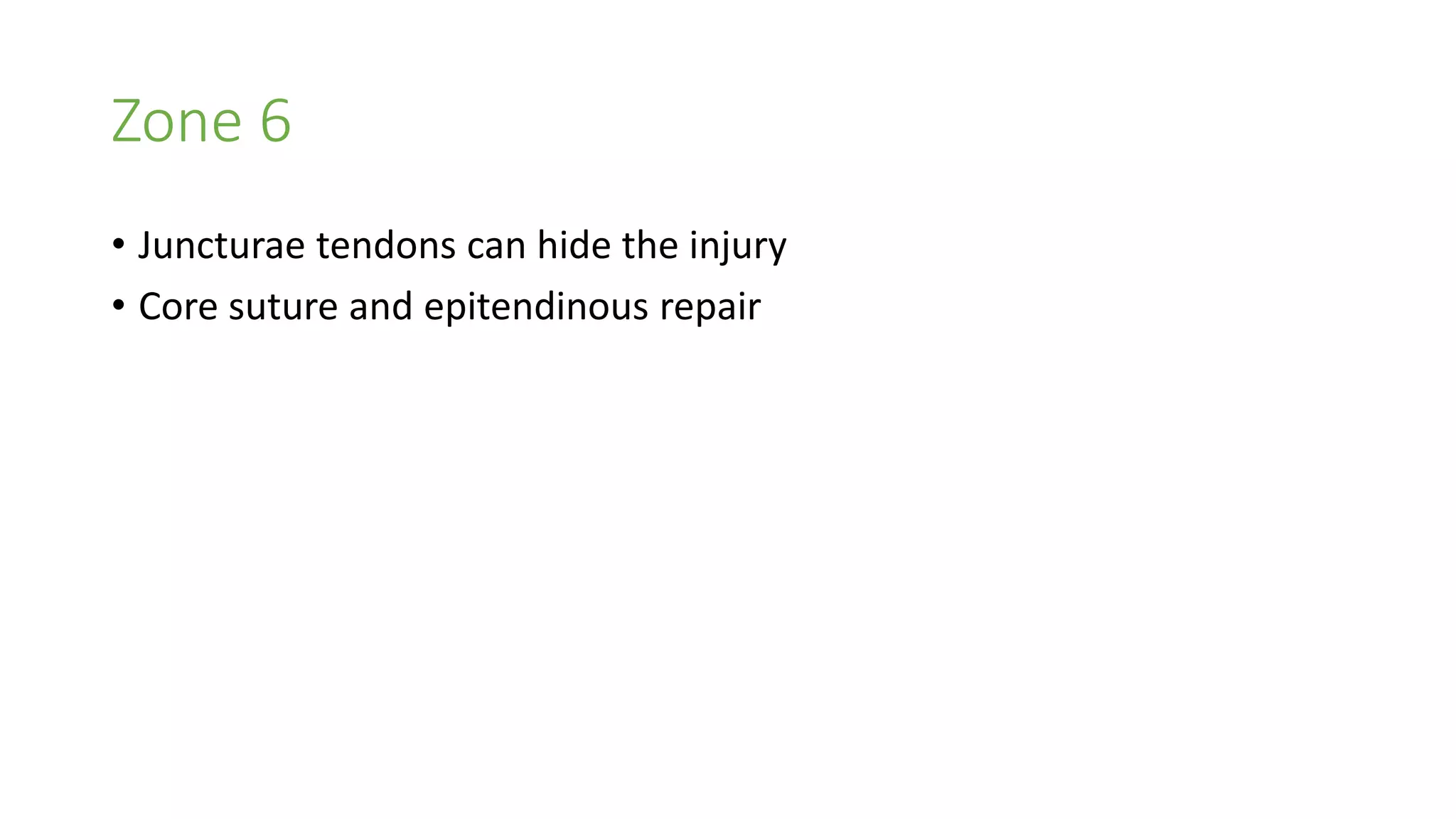 Extensor tendon injury | PPTX