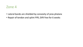 Extensor tendon injury | PPTX