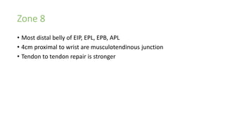 Extensor tendon injury | PPTX