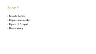 Extensor tendon injury | PPTX