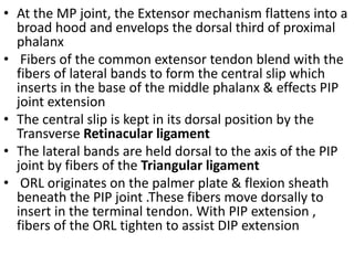Extensor tendon injury | PPTX