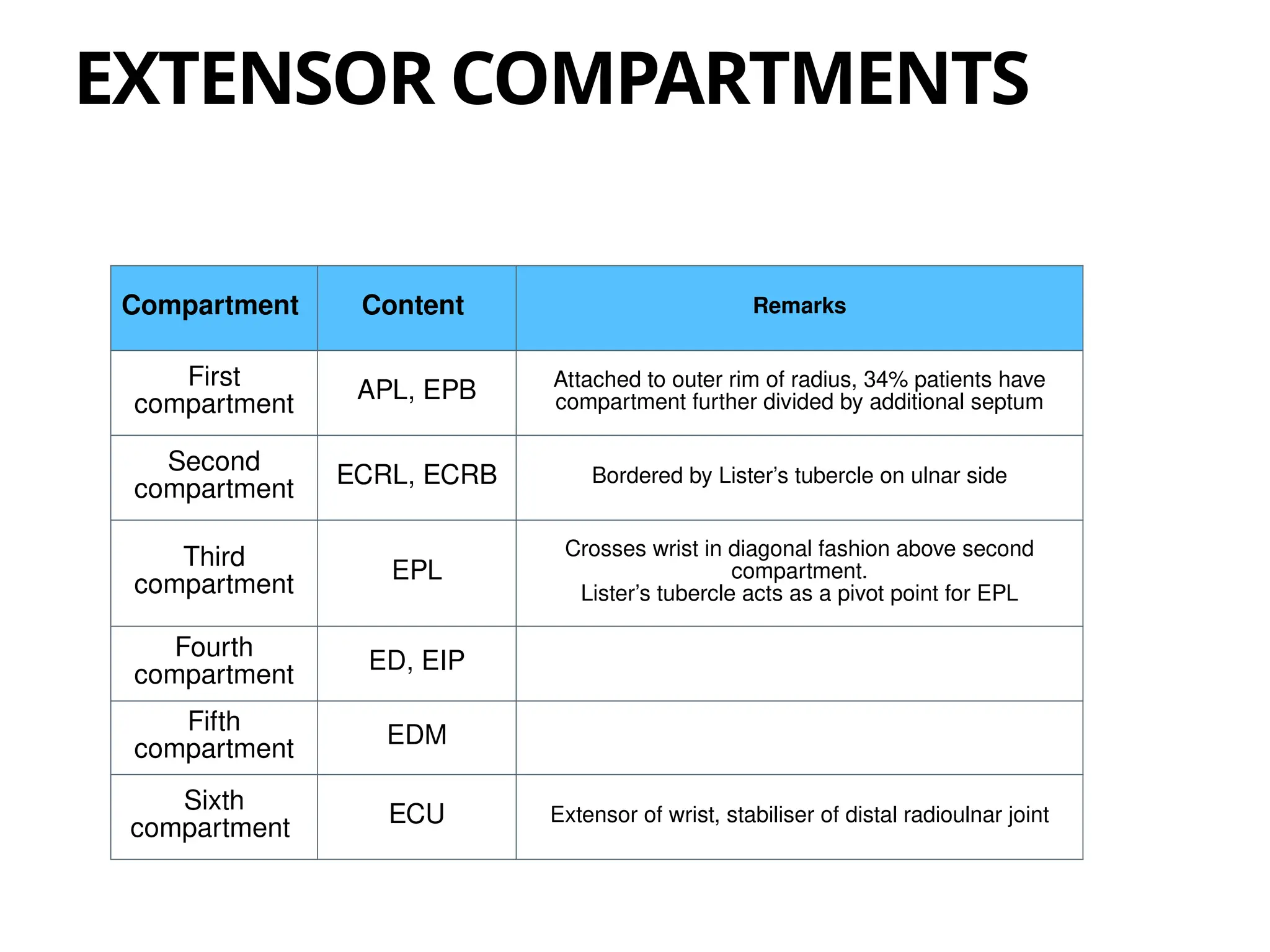 Extensor tendon anatomy, injury and its mangement pptx | PPTX | Death ...