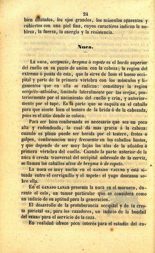 Exterior del caballo y de los principales animales domésticos | PDF