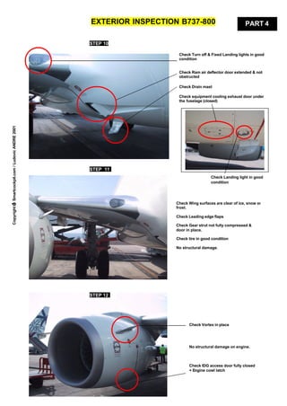EXTERIOR INSPECTION B737-800 - Sjapstore.com.pdf