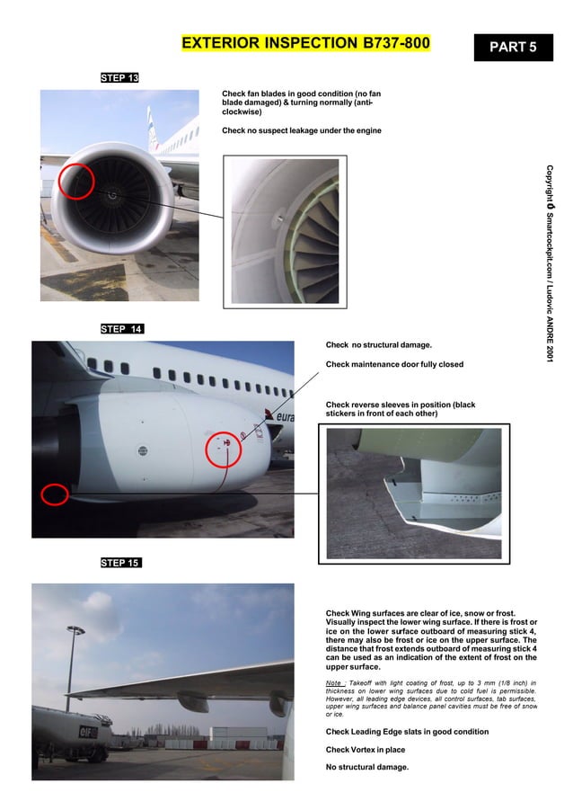 EXTERIOR INSPECTION B737-800 - Sjapstore.com.pdf