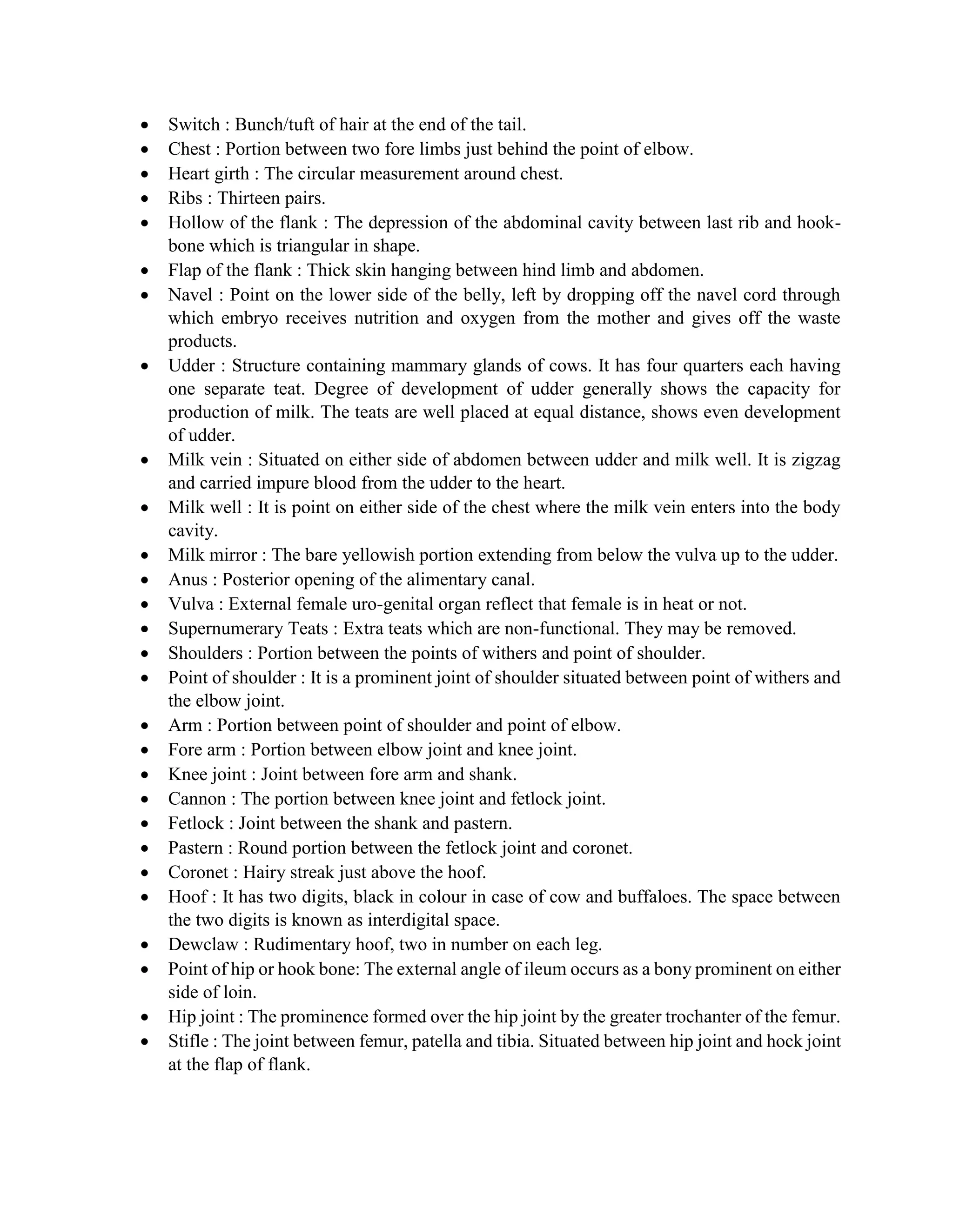 External anatomy of a cattle.docx