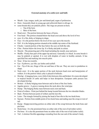 External anatomy of a cattle.docx