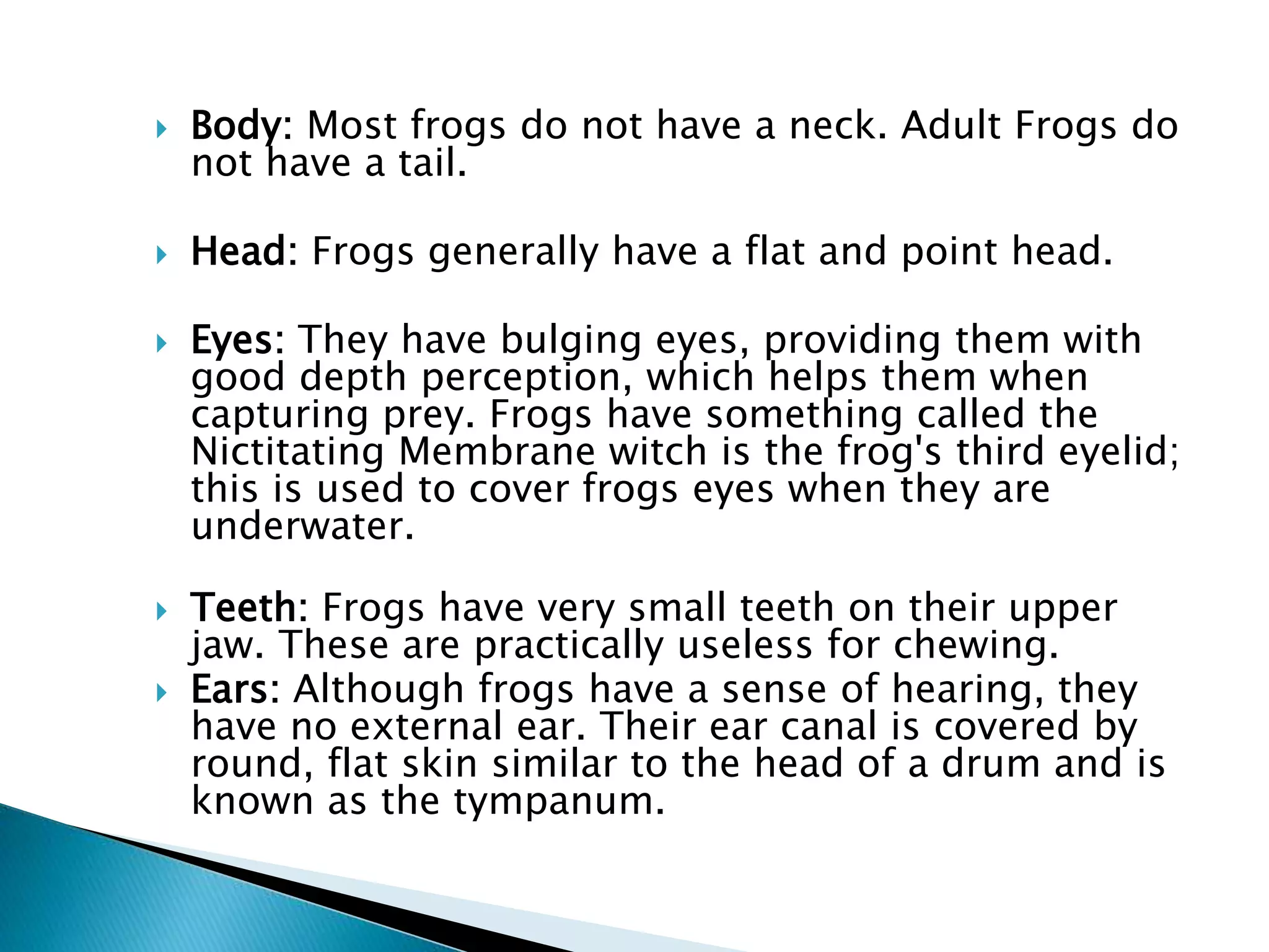 External anatomy of a frog | PPTX