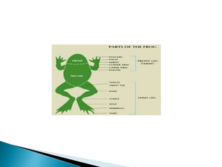 External anatomy of a frog | PPTX