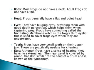 External anatomy of a frog | PPTX