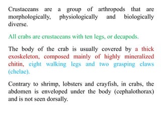 External anatomy of crab.pptx crab morphology | PPTX