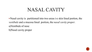 EXTERNAL ANATOMY OF NOS by dr gangaE .pptx