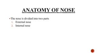 EXTERNAL ANATOMY OF NOS by dr gangaE .pptx