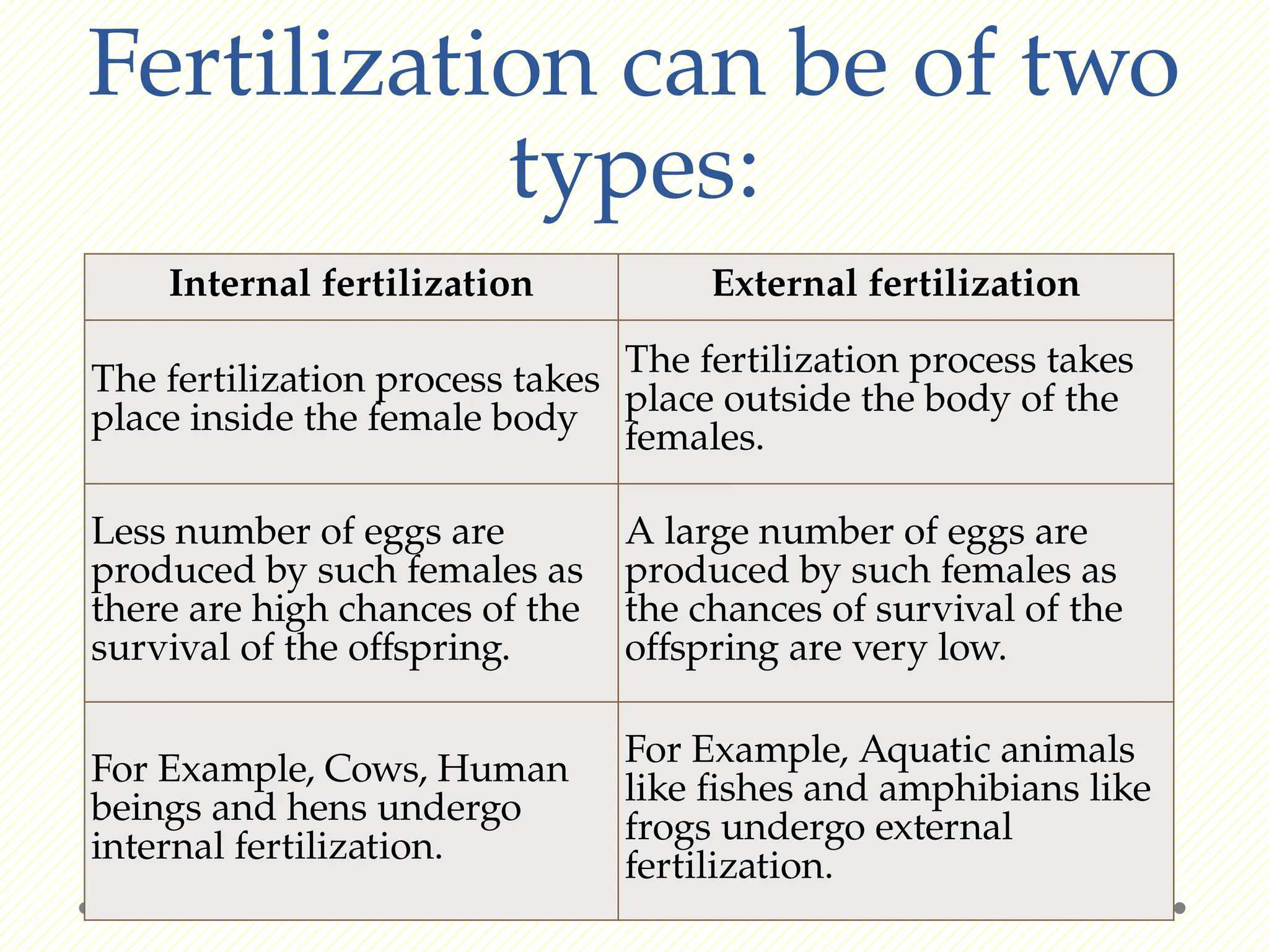 External and Internal Fertilization.pptx