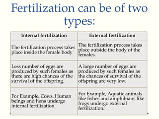 External and Internal Fertilization.pptx