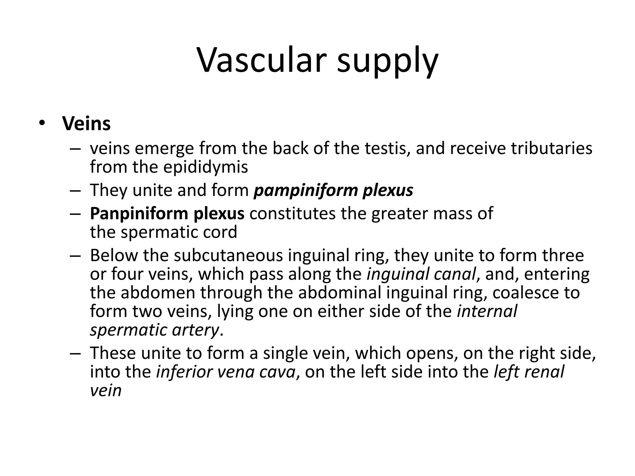 External and internal structure of testes | PPTX