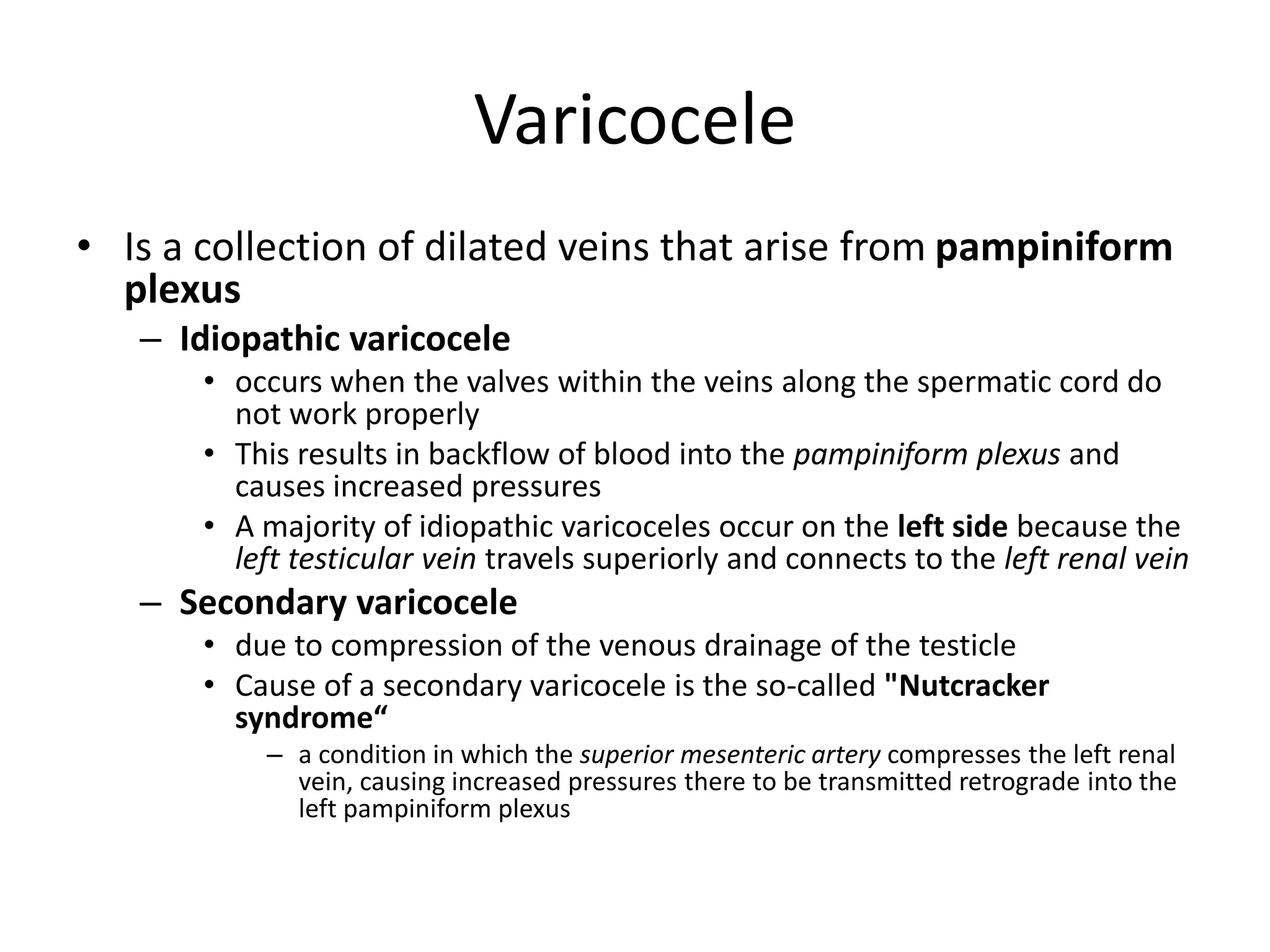 External and internal structure of testes | PPTX
