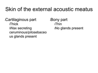 External auditory canal | PPTX