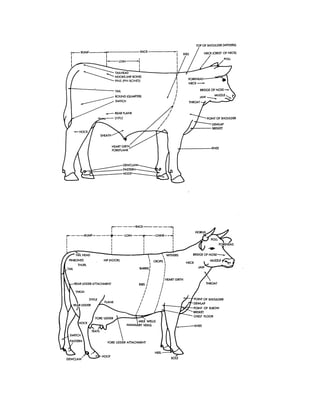 External body parts key | PDF