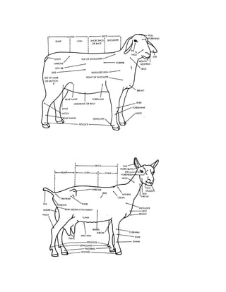 External body parts key | PDF