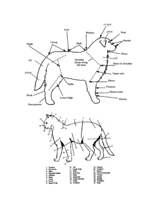 External body parts key | PDF