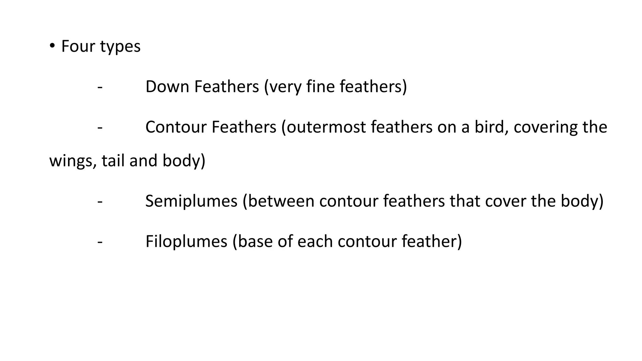 External Body Parts of Chicken | PPSX