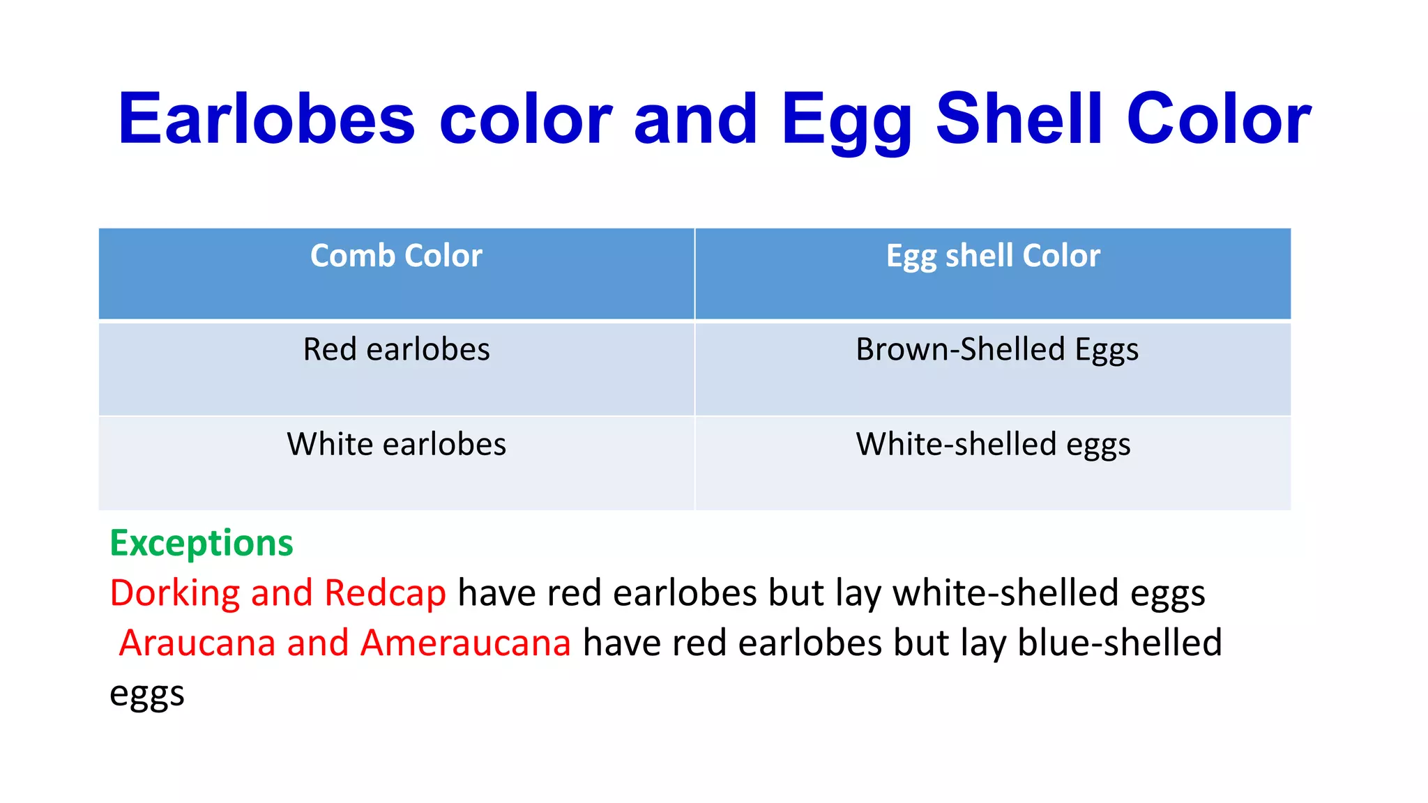 External Body Parts of Chicken | PPSX
