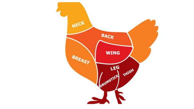 External Body Parts of Chicken | PPSX | Birds | Pets