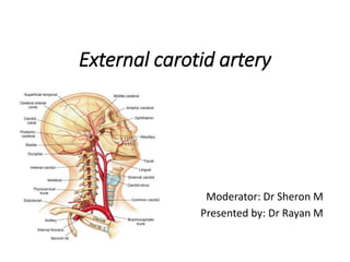 External Carotid Artery Branches Ppt