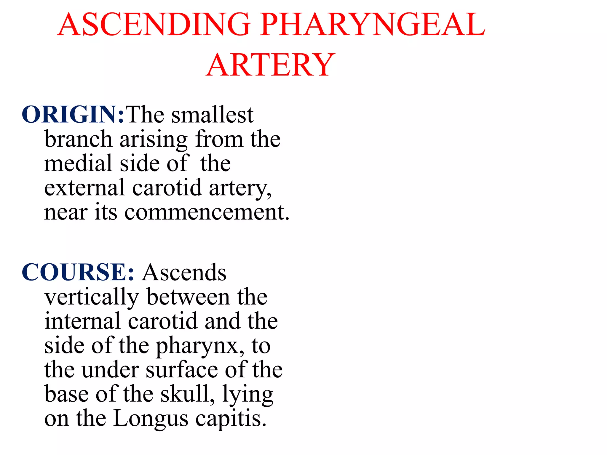 External carotid artery, branches and ligation | PPTX