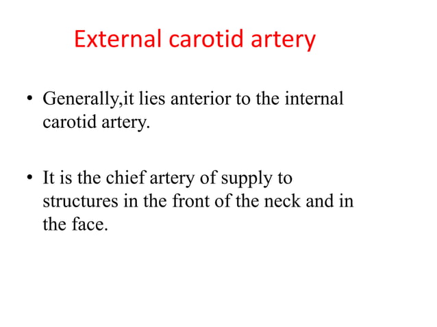 External carotid artery, branches and ligation | PPTX